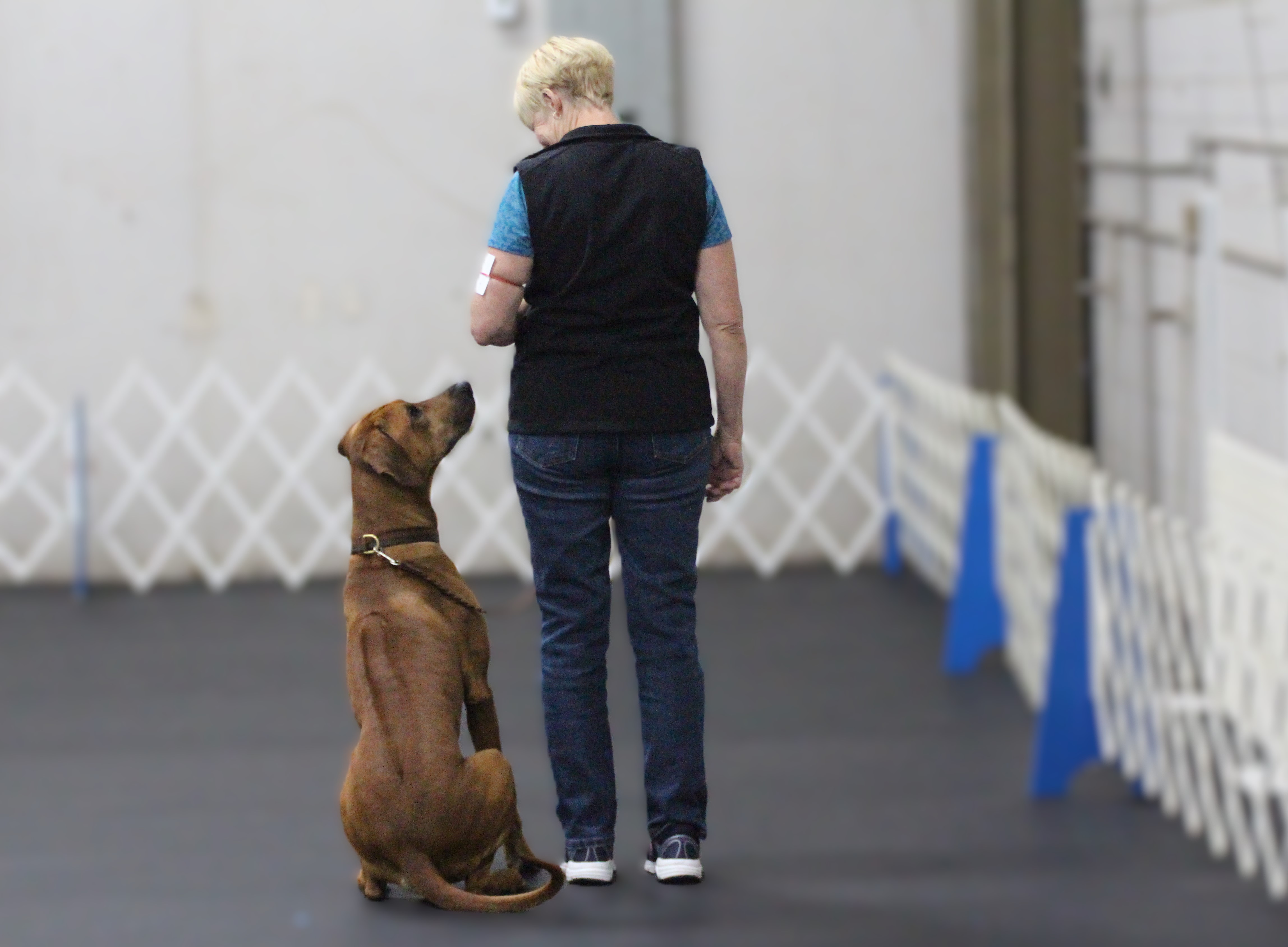 PlanetReg - Attendee Registration